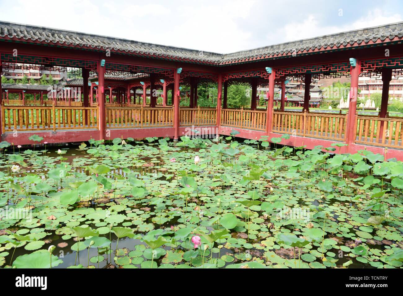 Antique architecture and lotus pavilion lotus Stock Photo - Alamy