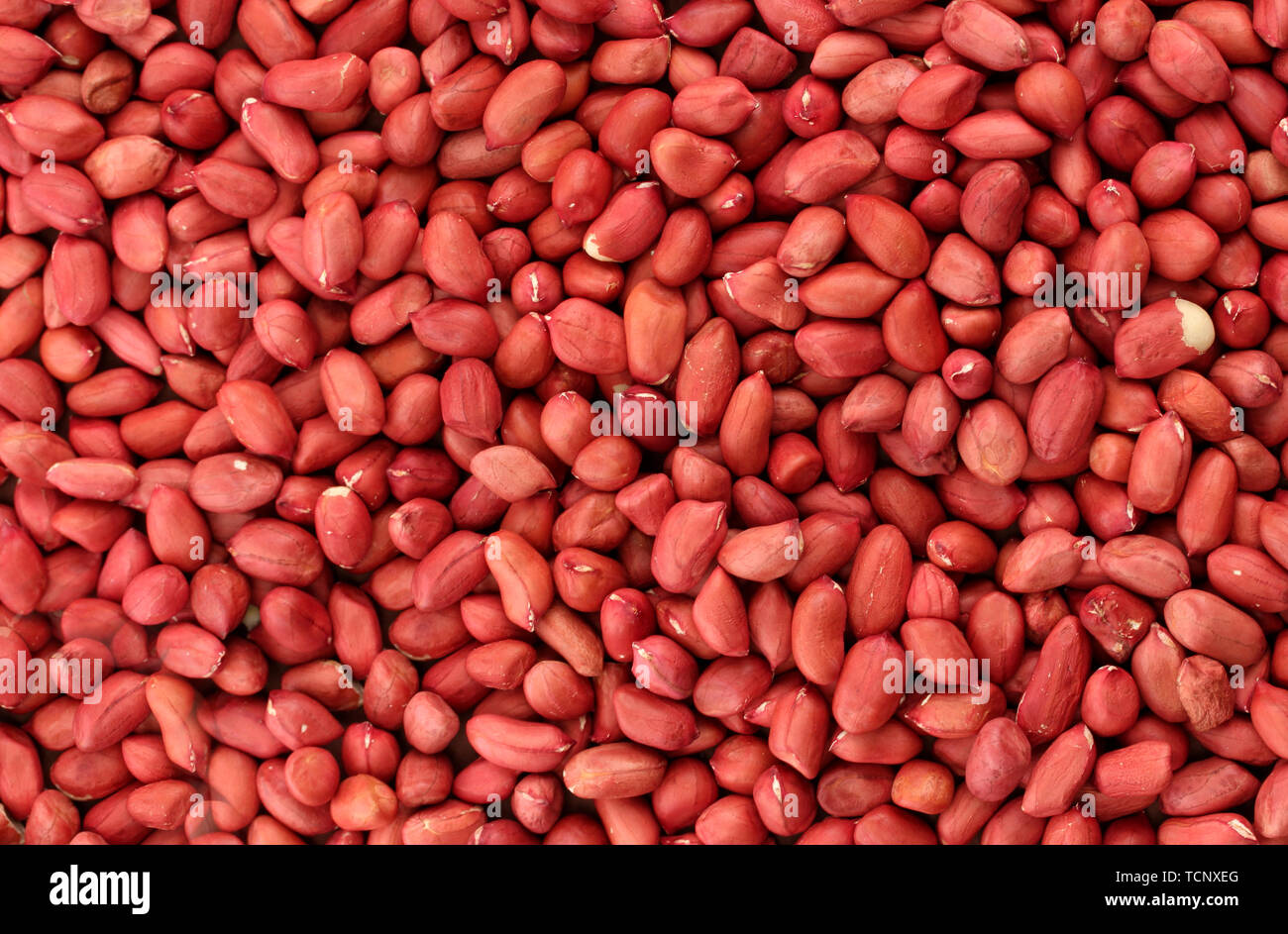 tasty peanuts, close up Stock Photo - Alamy
