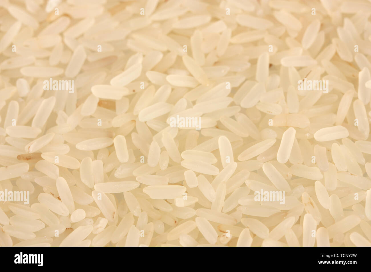 Background rice Stock Photo - Alamy