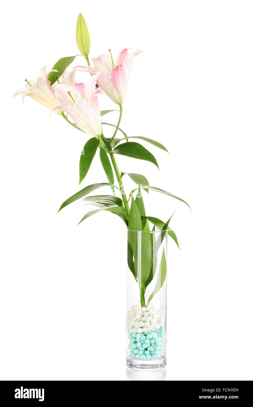 beautiful lily in glass vase isolated on white Stock Photo - Alamy