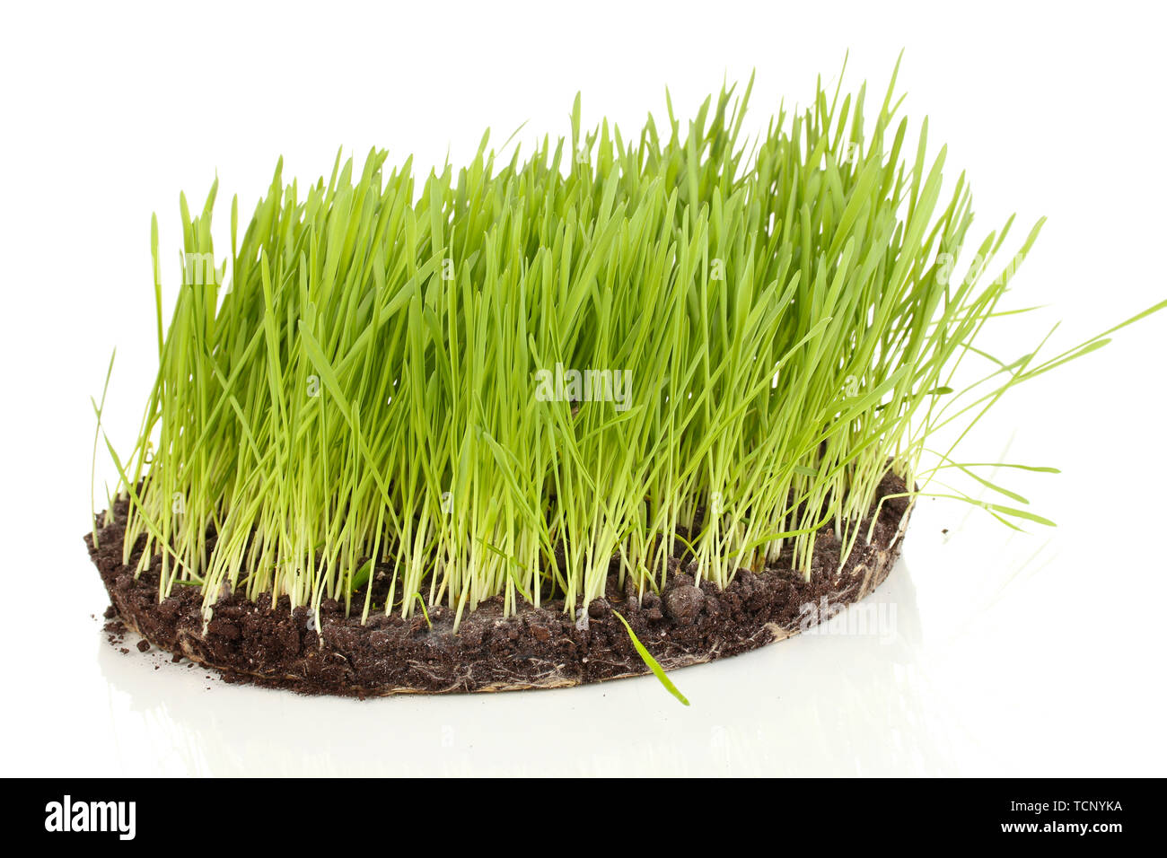 Green grass with ground isolated on white Stock Photo - Alamy