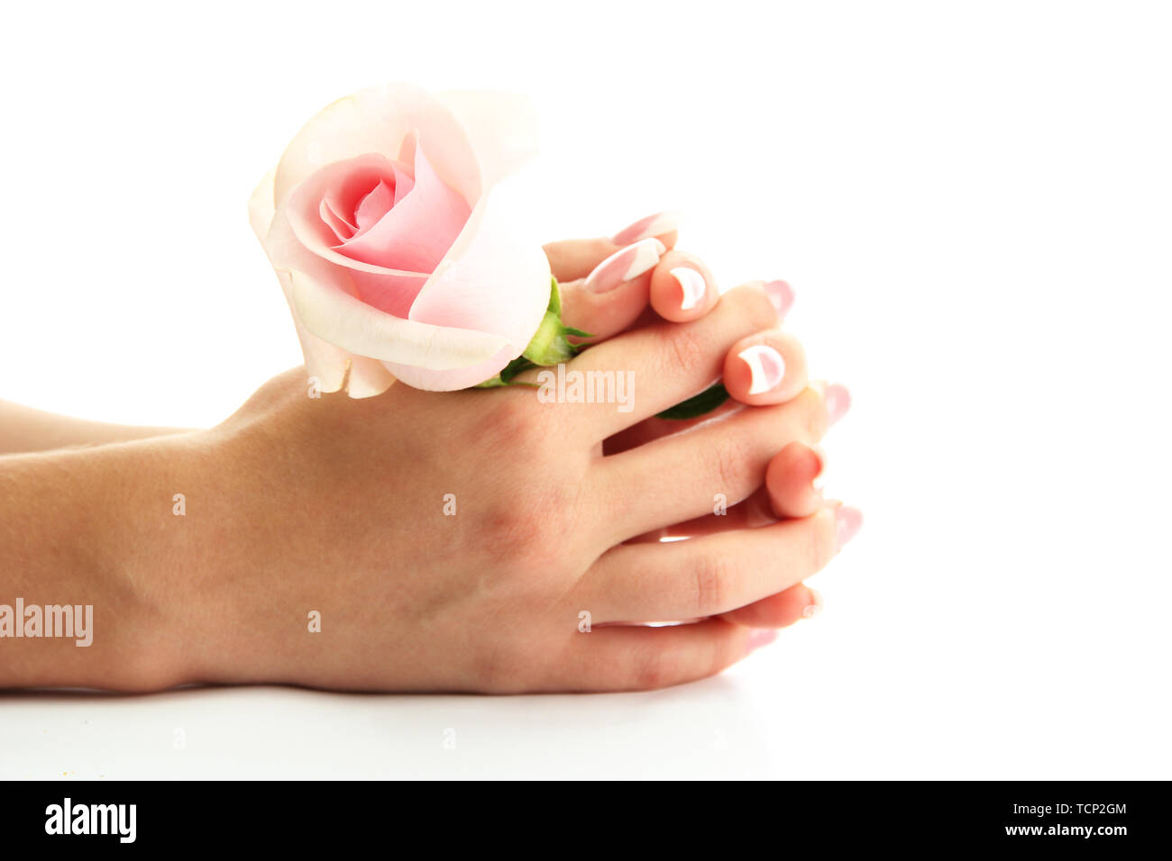 Beautiful woman hands with rose, isolated on white Stock Photo - Alamy