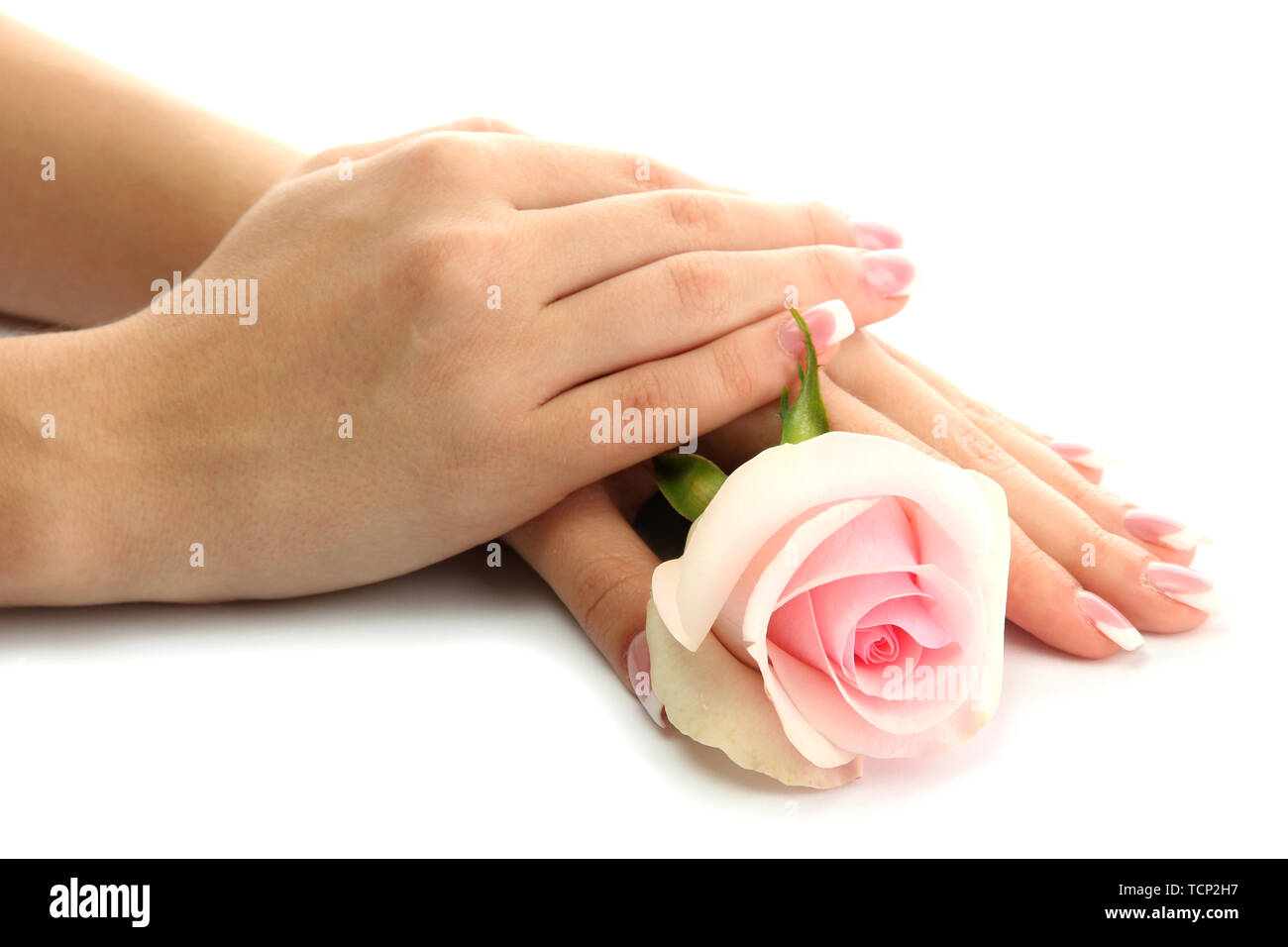 Beautiful woman hands with rose, isolated on white Stock Photo - Alamy