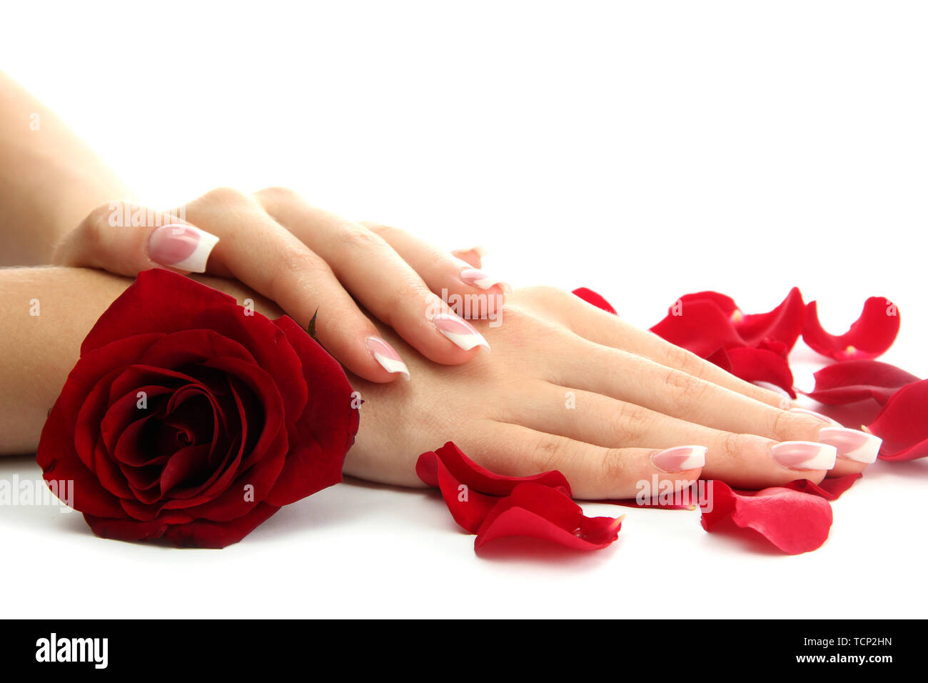Beautiful woman hands with rose, isolated on white Stock Photo - Alamy