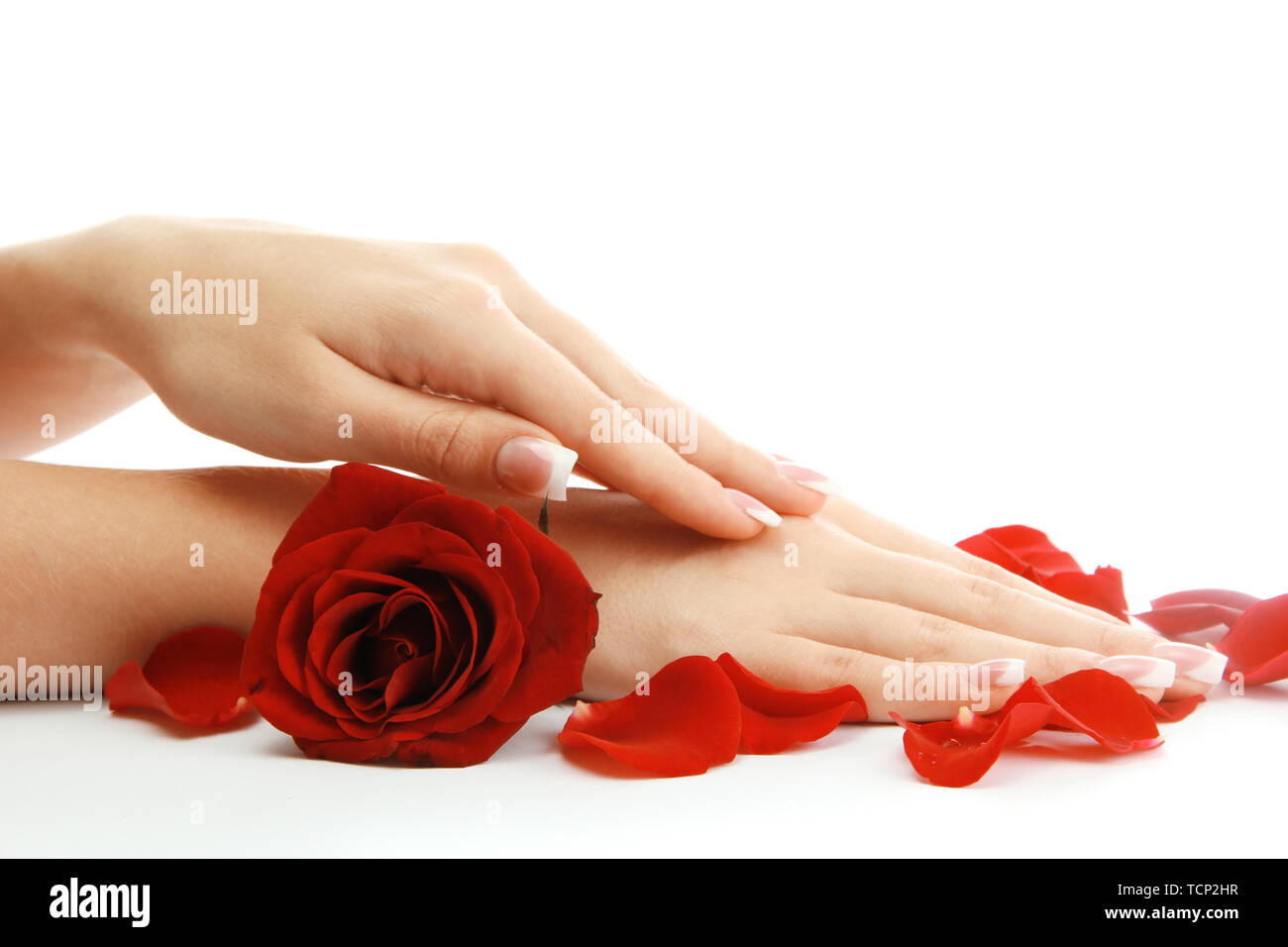 Beautiful woman hands with rose, isolated on white Stock Photo - Alamy