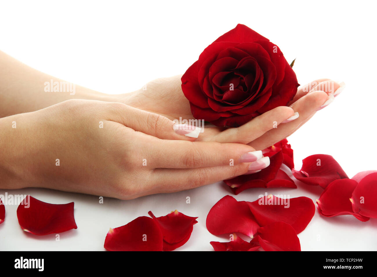 Beautiful woman hands with rose, isolated on white Stock Photo - Alamy