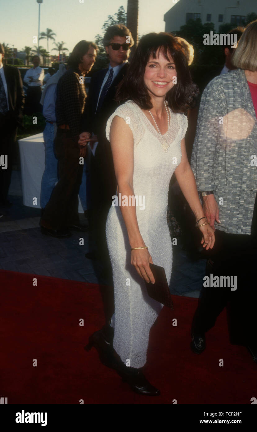 Campo De Sally Forrest Gump Directora