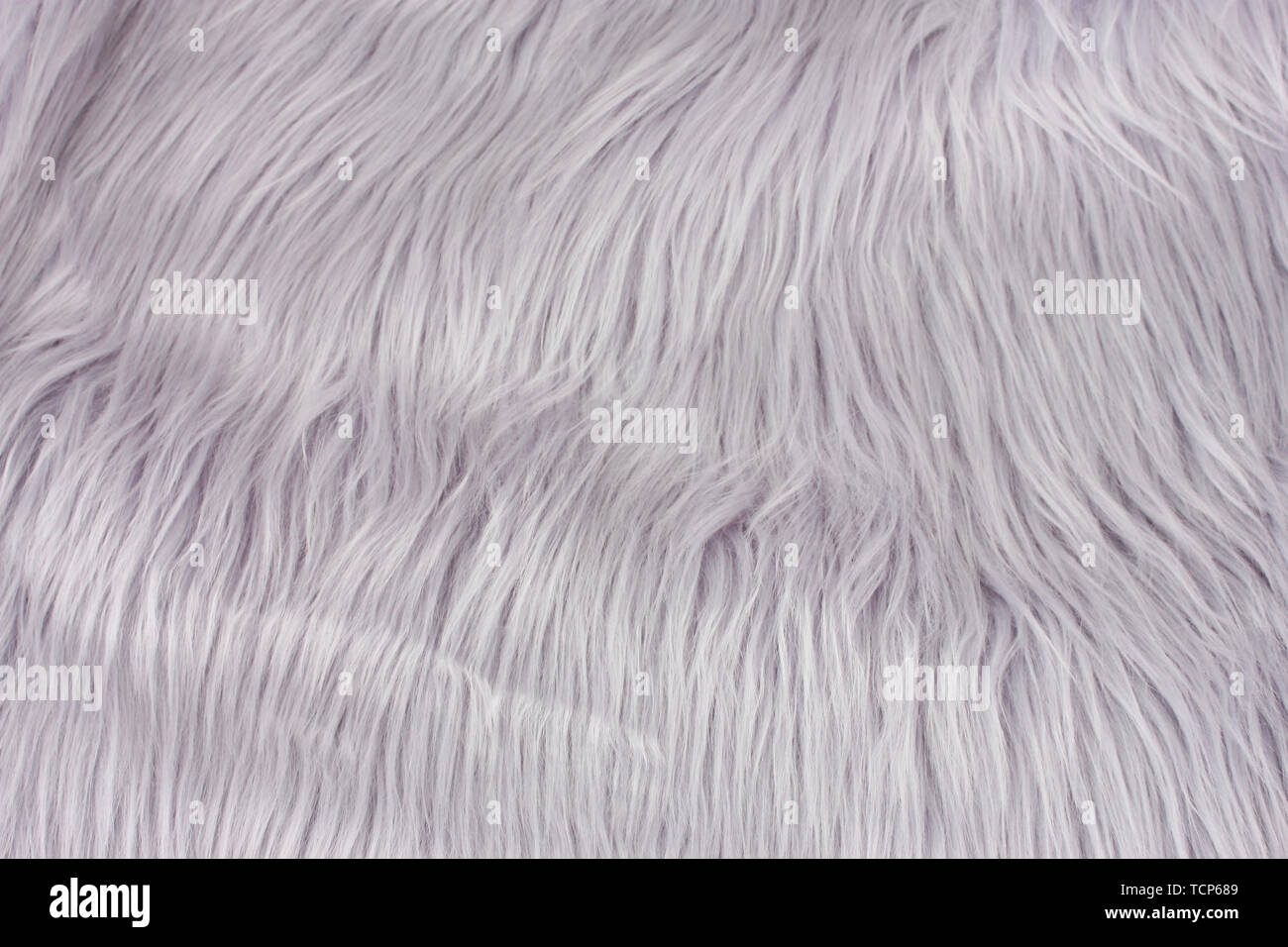 Gray fur texture, close-up.Useful as background Stock Photo - Alamy