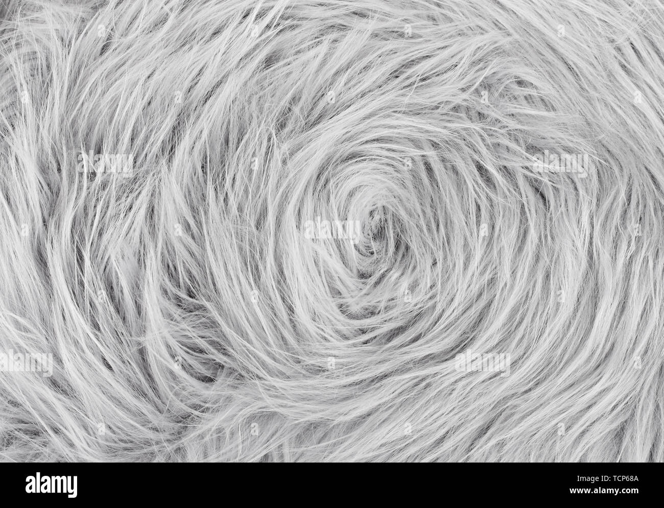 Gray fur texture, close-up.Useful as background Stock Photo - Alamy