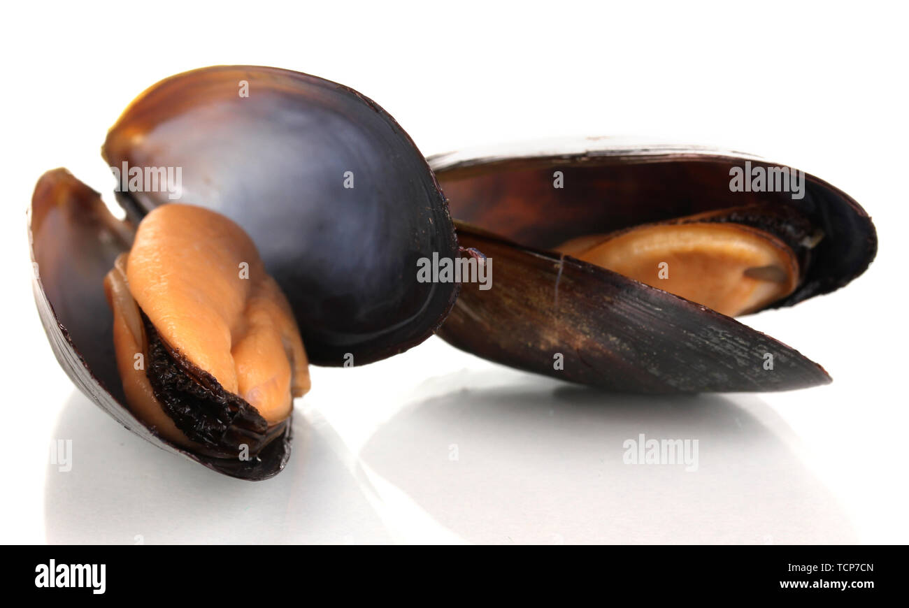 Mussels in shell isolated on white Stock Photo - Alamy