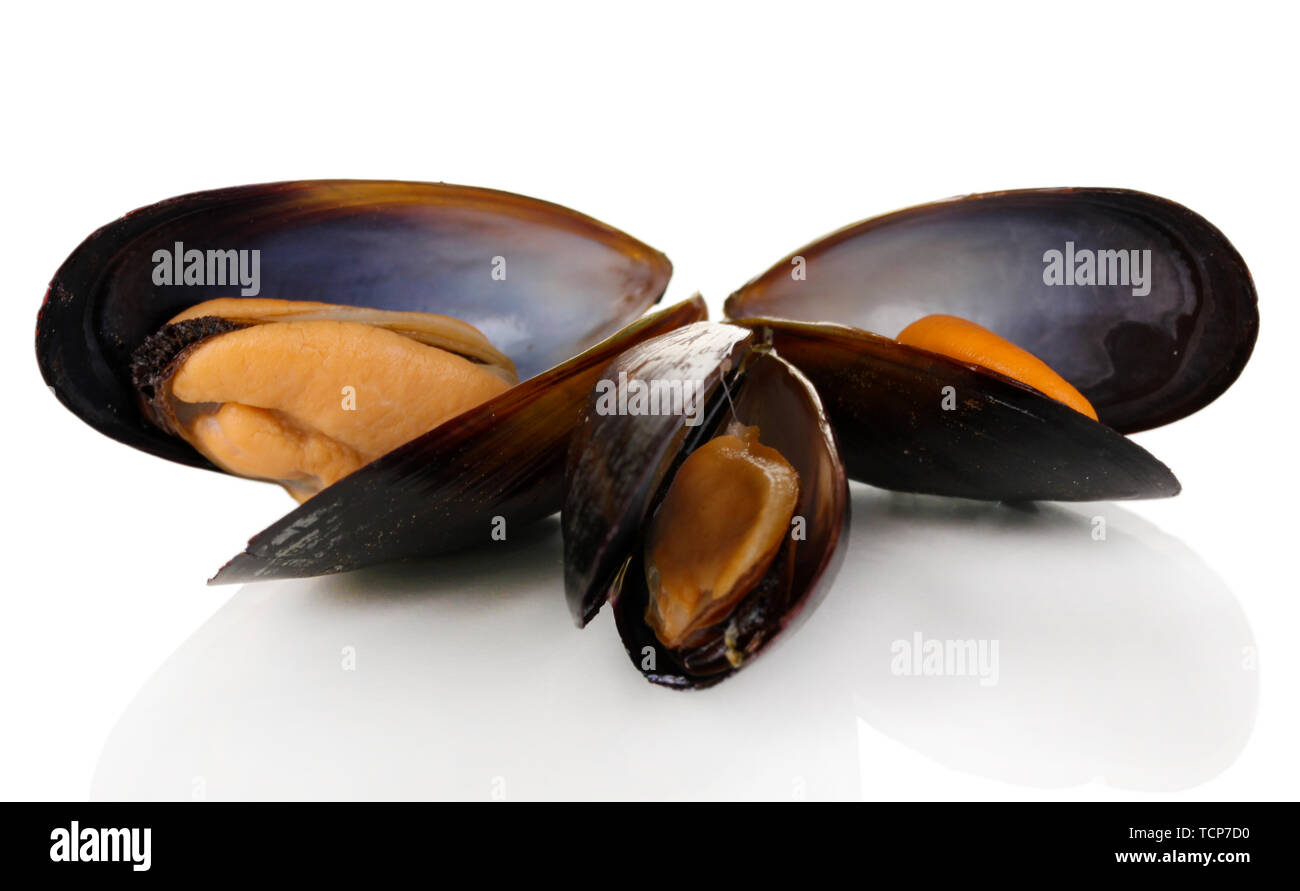 Mussels in shell isolated on white Stock Photo - Alamy