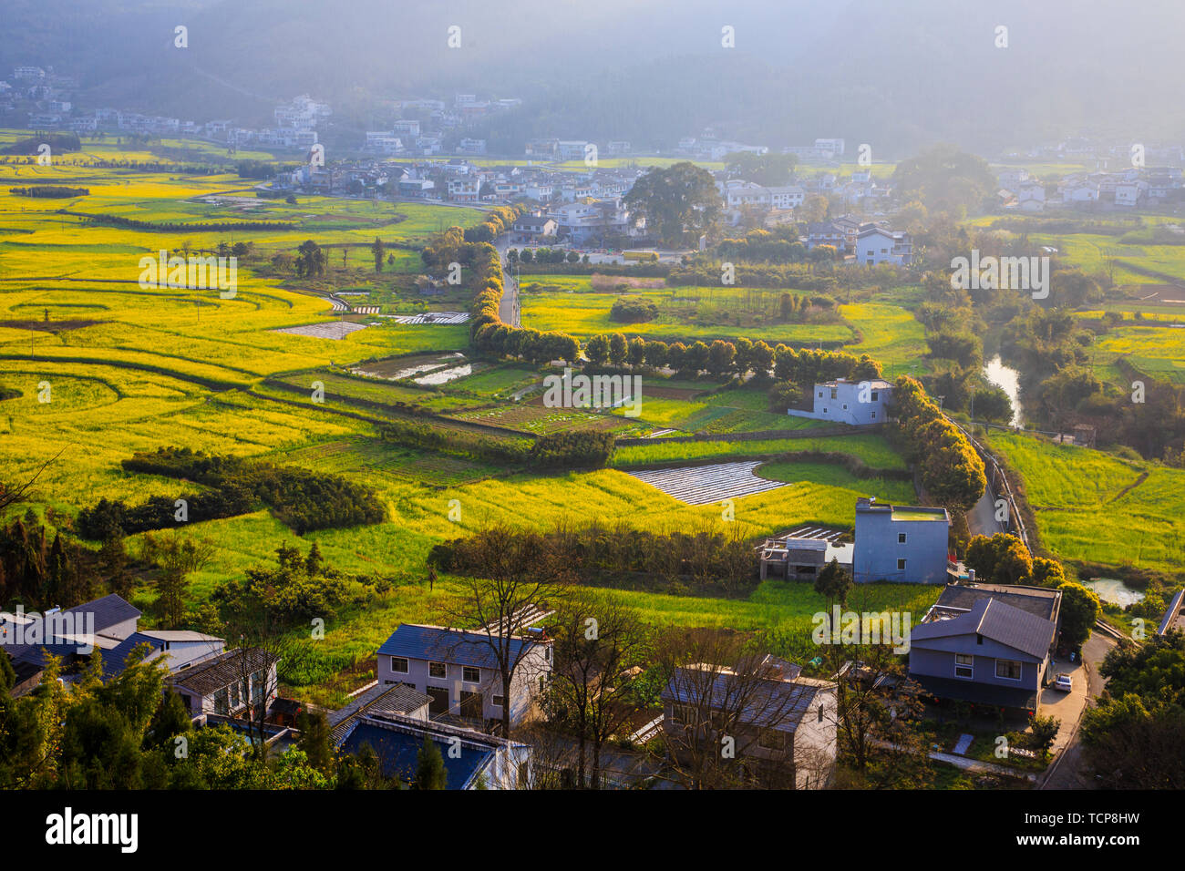 Spring color of Wanfeng forest in Xingyi, Guizhou Stock Photo - Alamy