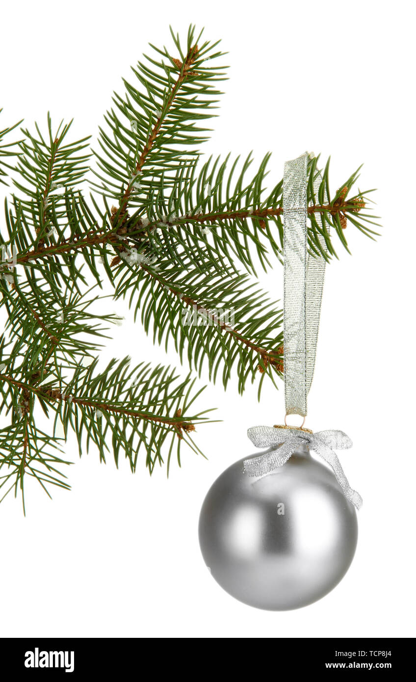 Christmas ball on fir tree, isolated on white Stock Photo - Alamy