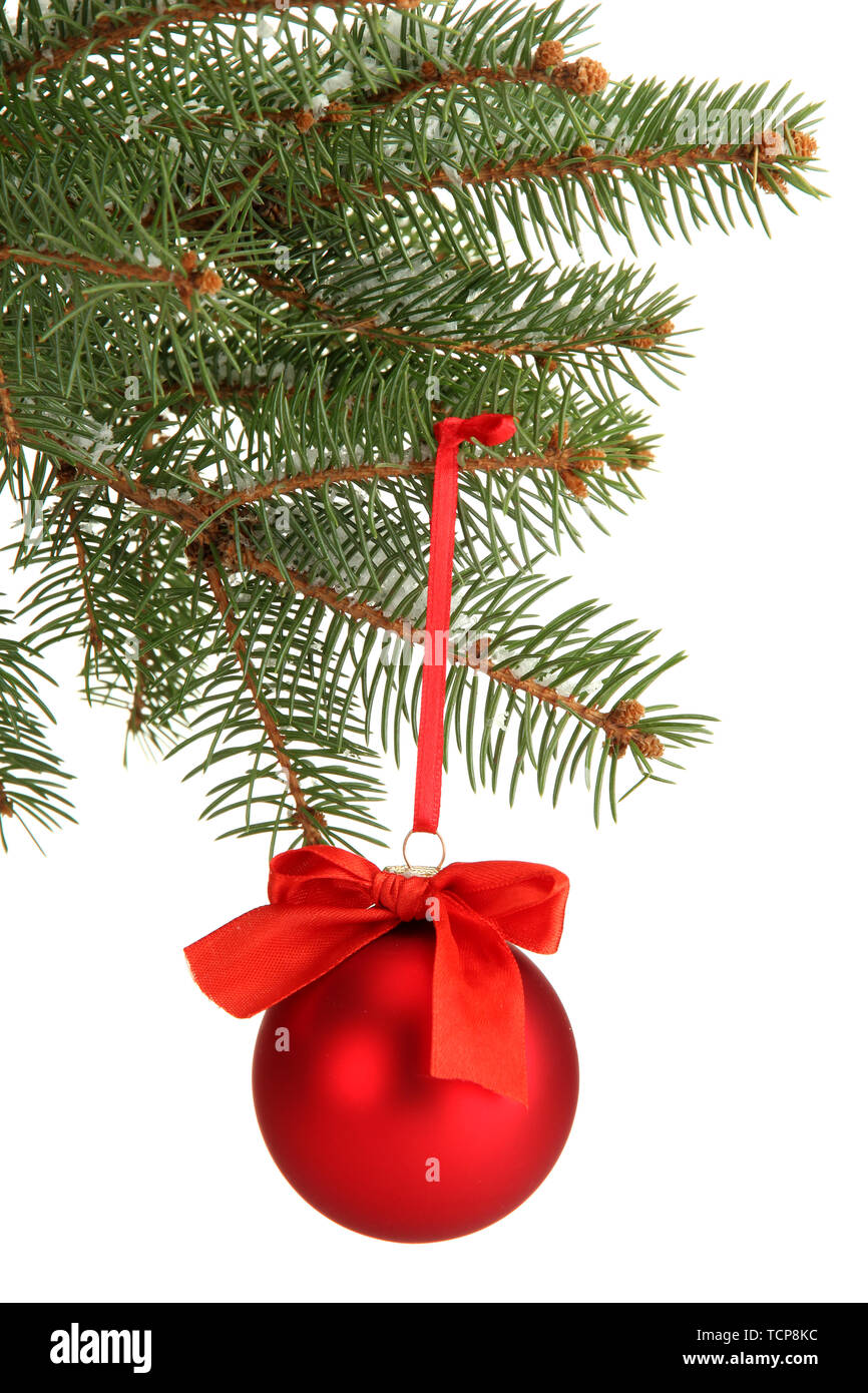 Christmas ball on fir tree, isolated on white Stock Photo - Alamy