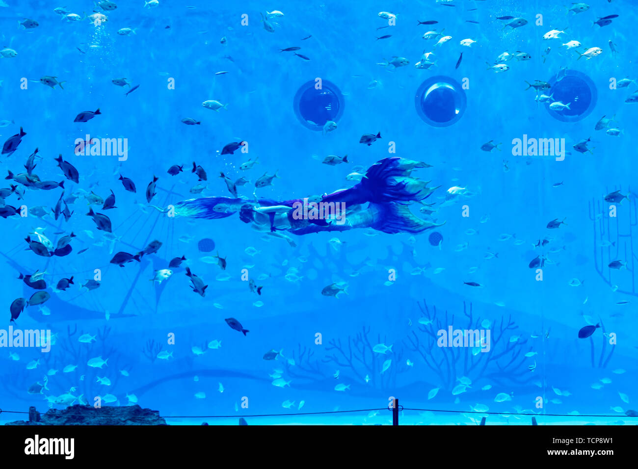 Mermaid performance at Haichang Ocean Park, Shanghai Stock Photo - Alamy