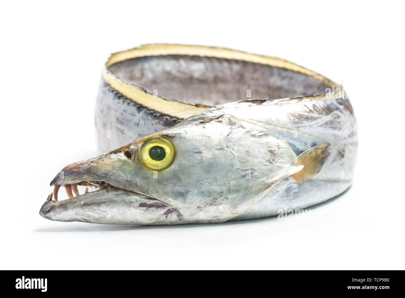 Food bring Cut Out Stock Images & Pictures - Alamy