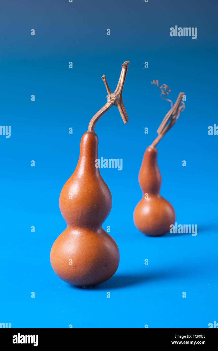 Hand twist gourd hi-res stock photography and images - Alamy