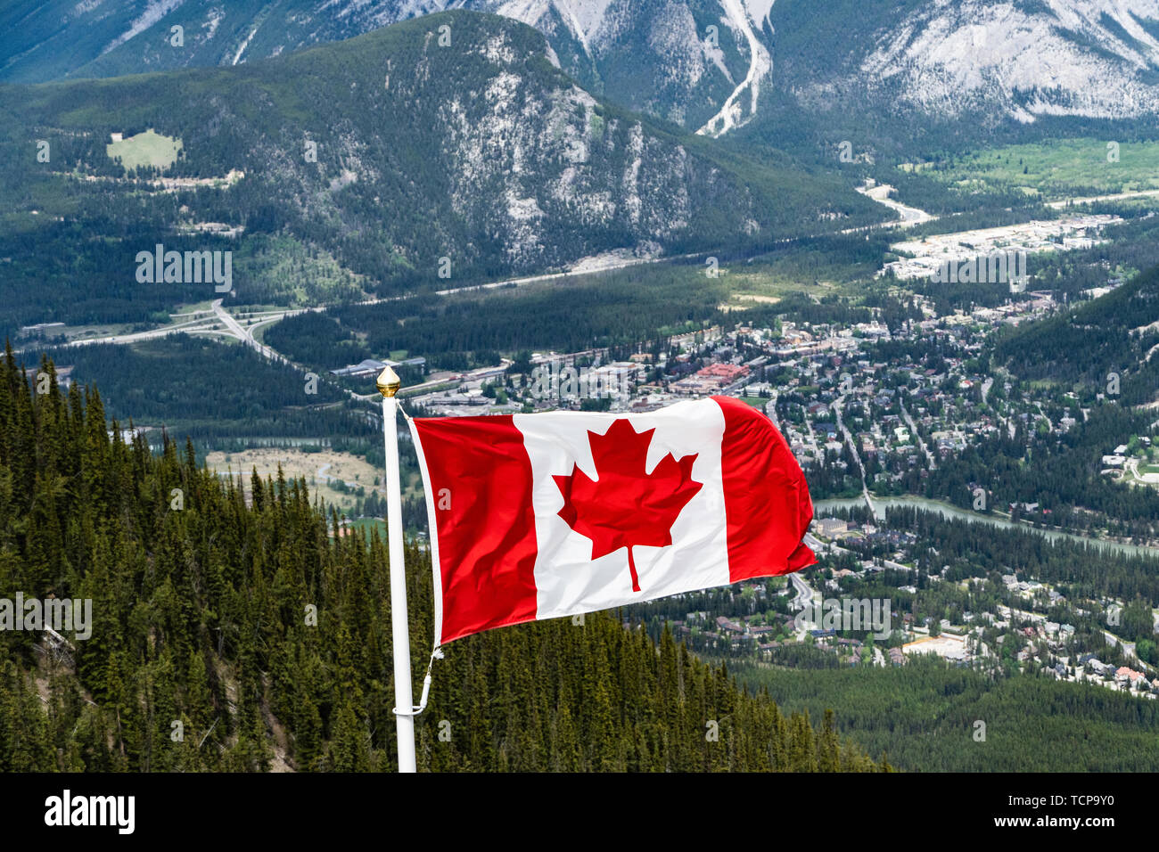 Maple Tree Canada Flag High Resolution Stock Photography and Images - Alamy