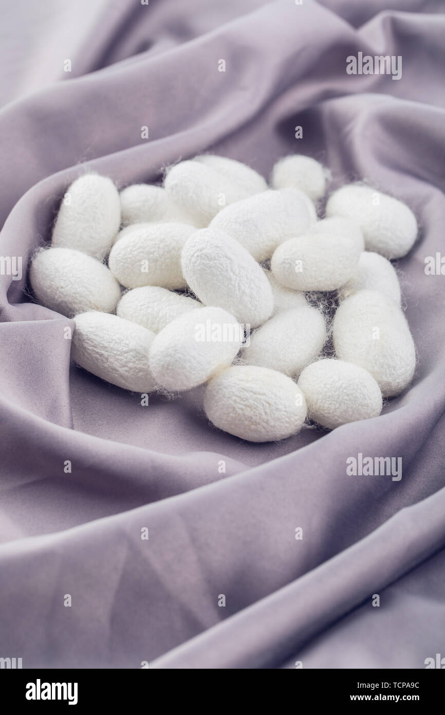 Natural silk cocoon Stock Photo - Alamy