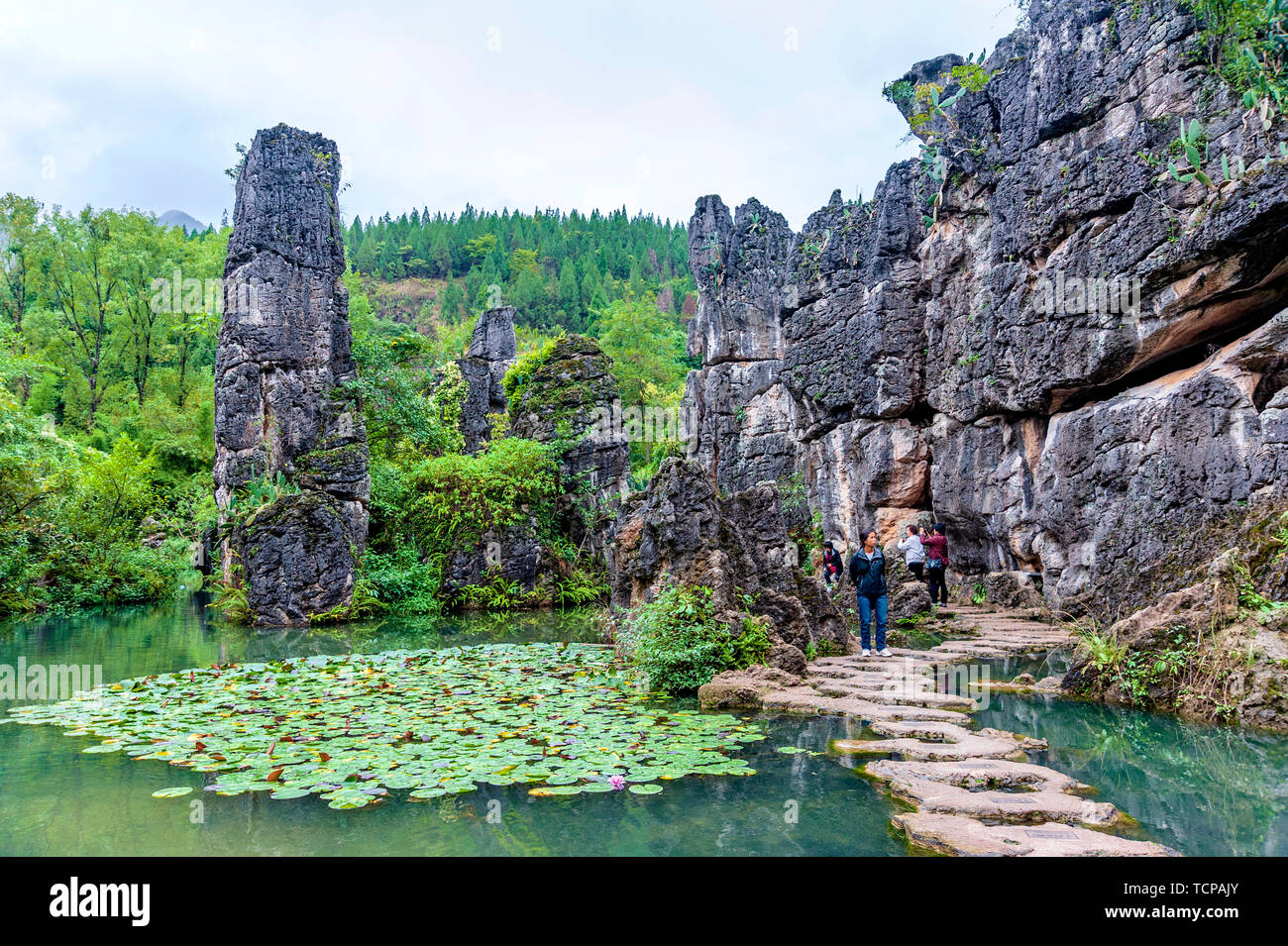 Natural bonsai area of Tianxing Bridge Scenic Area, Anshun, Guizhou ...