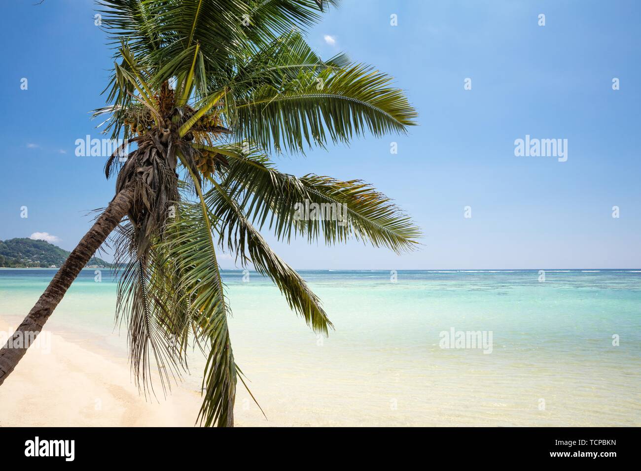 Palm beach scenic view hi-res stock photography and images - Alamy