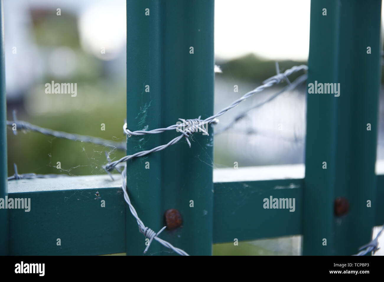 Barbed wire around fence hi-res stock photography and images - Alamy