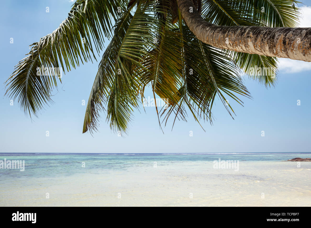 Turtle bay resort hi-res stock photography and images - Alamy