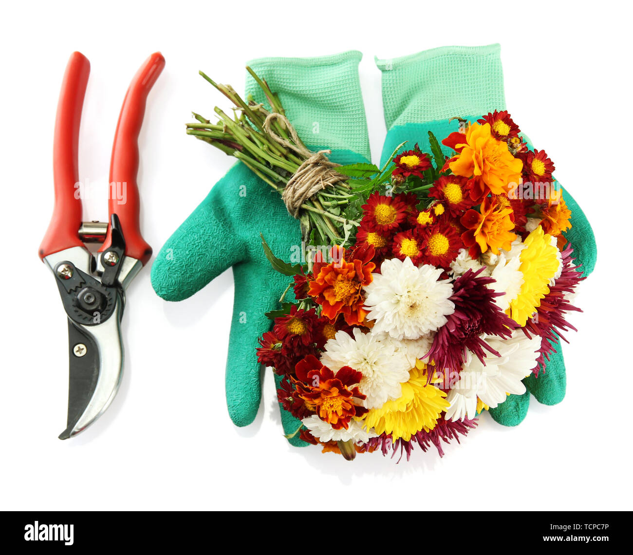 Secateurs with flowers isolated on white Stock Photo - Alamy