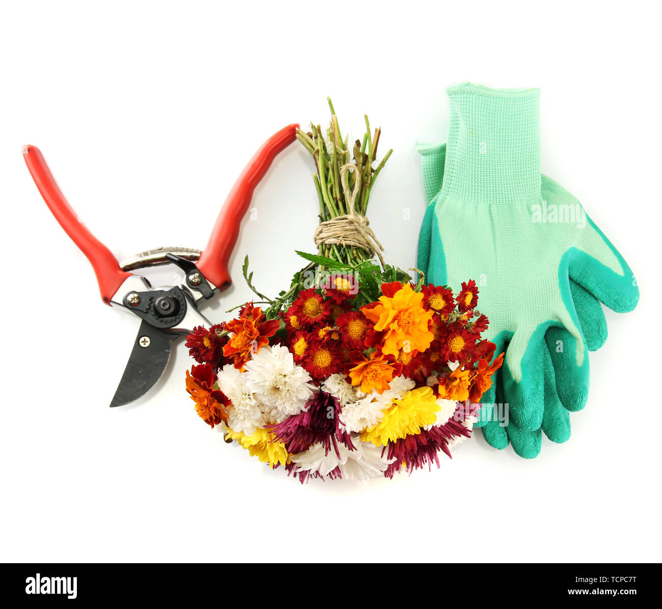 Secateurs with flowers isolated on white Stock Photo - Alamy