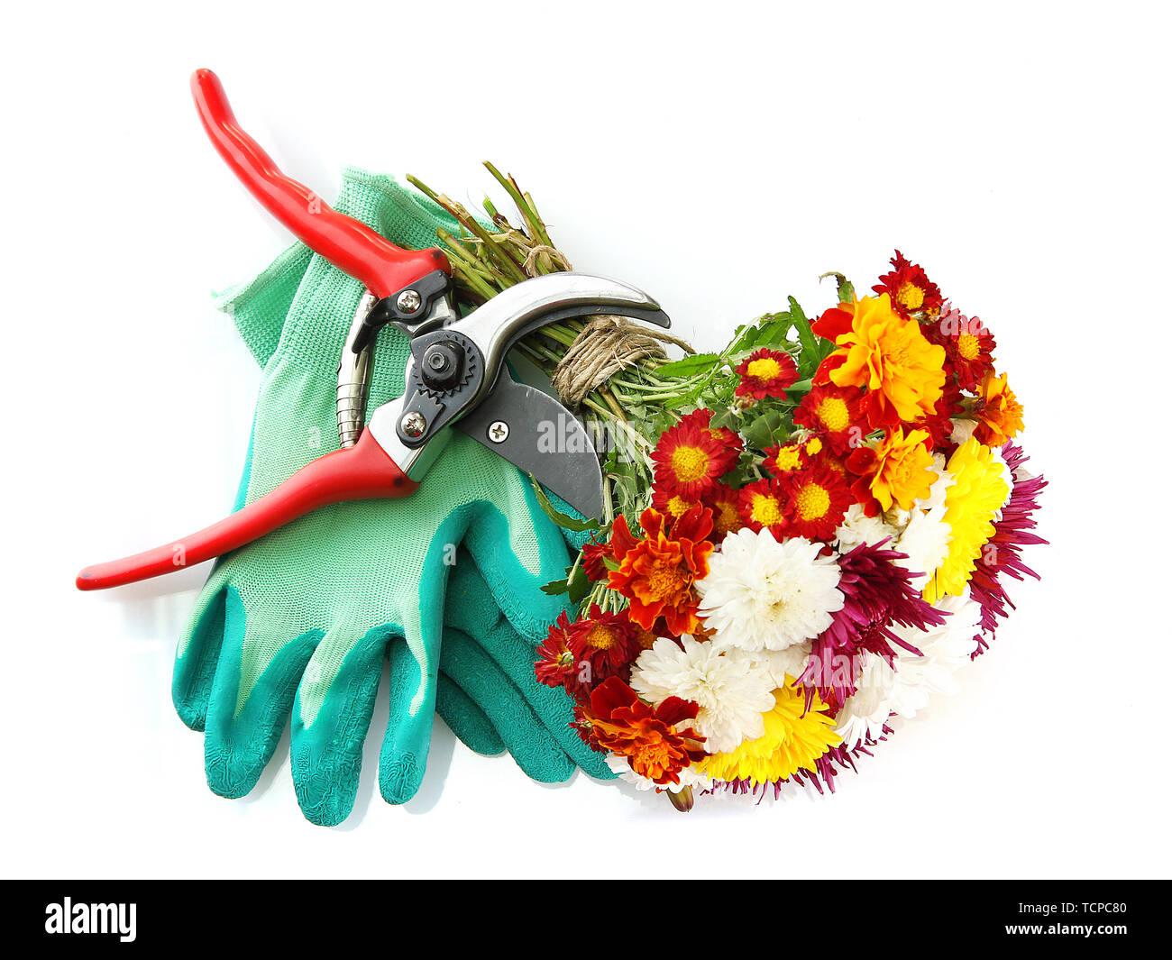 Secateurs with flowers isolated on white Stock Photo - Alamy