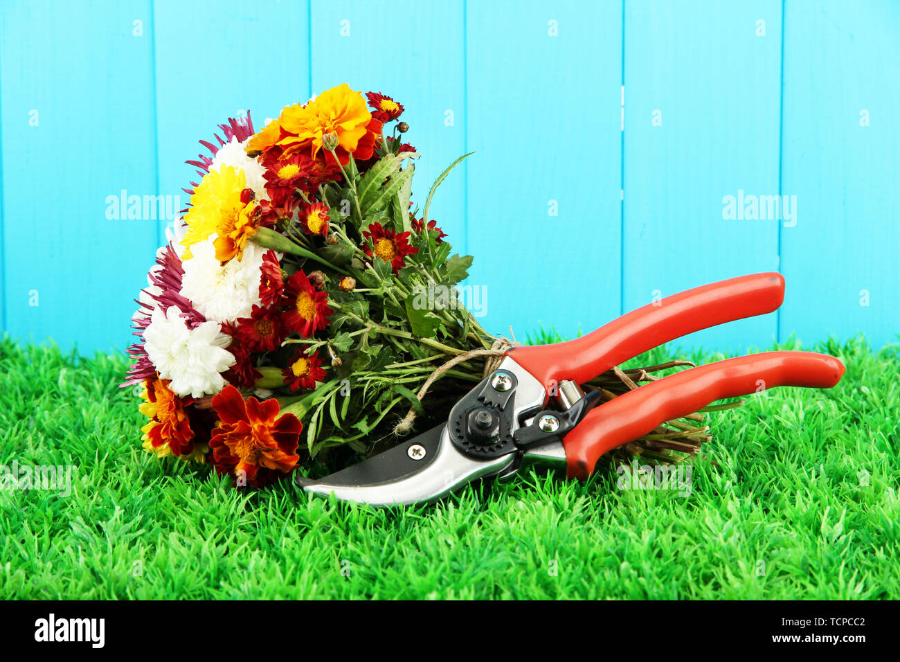 Secateurs with flowers on wooden background Stock Photo - Alamy