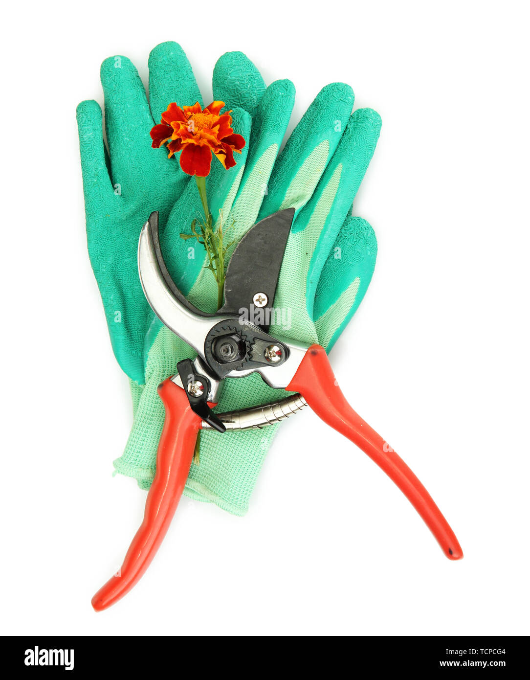 Secateurs with flower isolated on white Stock Photo - Alamy