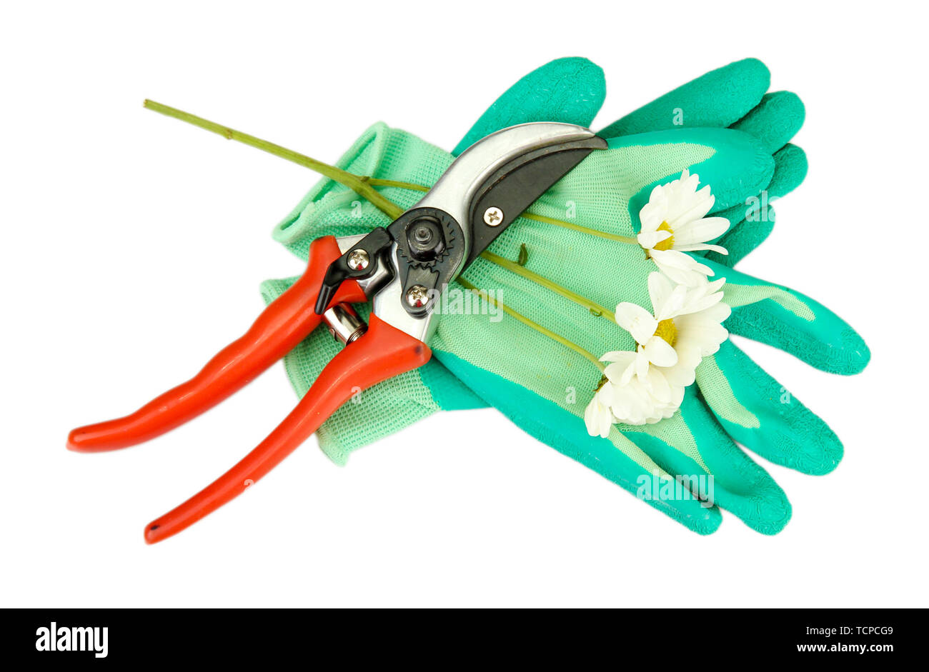 Secateurs with flower isolated on white Stock Photo - Alamy