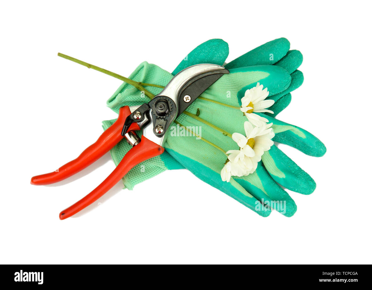 Secateurs with flower isolated on white Stock Photo - Alamy
