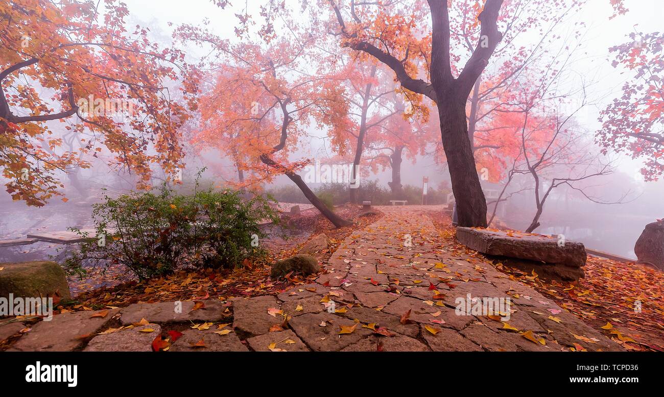 Late autumn season, Suzhou garden, Tianping Mountain, red maple, fog ...
