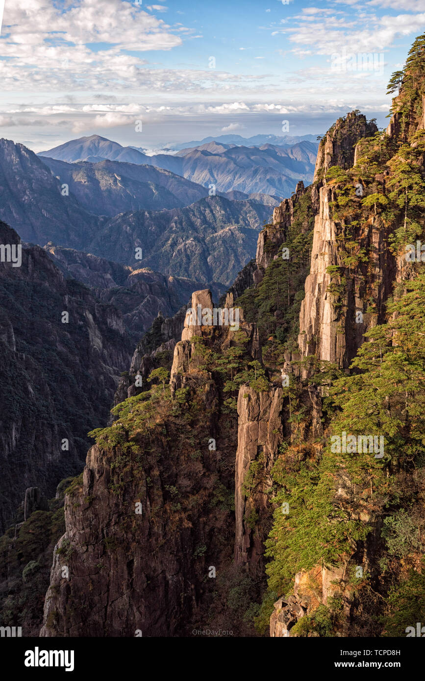 Cherry Blossom - Hejin Sakura Stock Photo - Alamy