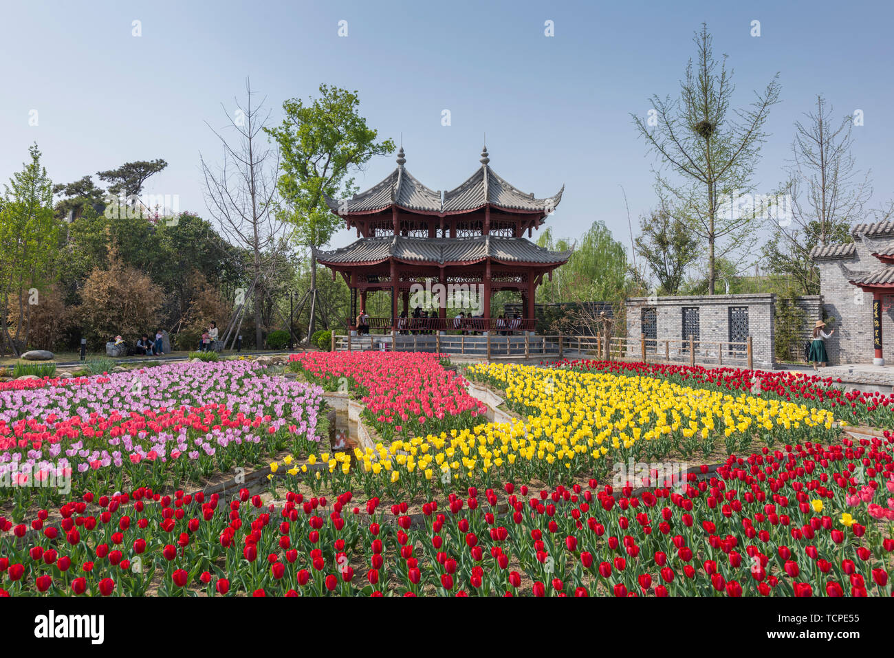 Landscape of Garden Expo Park in Zhengzhou, Henan Province Stock Photo ...