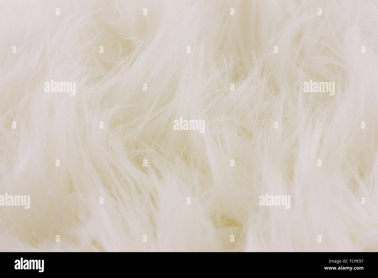 White fur texture, close-up.Useful as background Stock Photo - Alamy