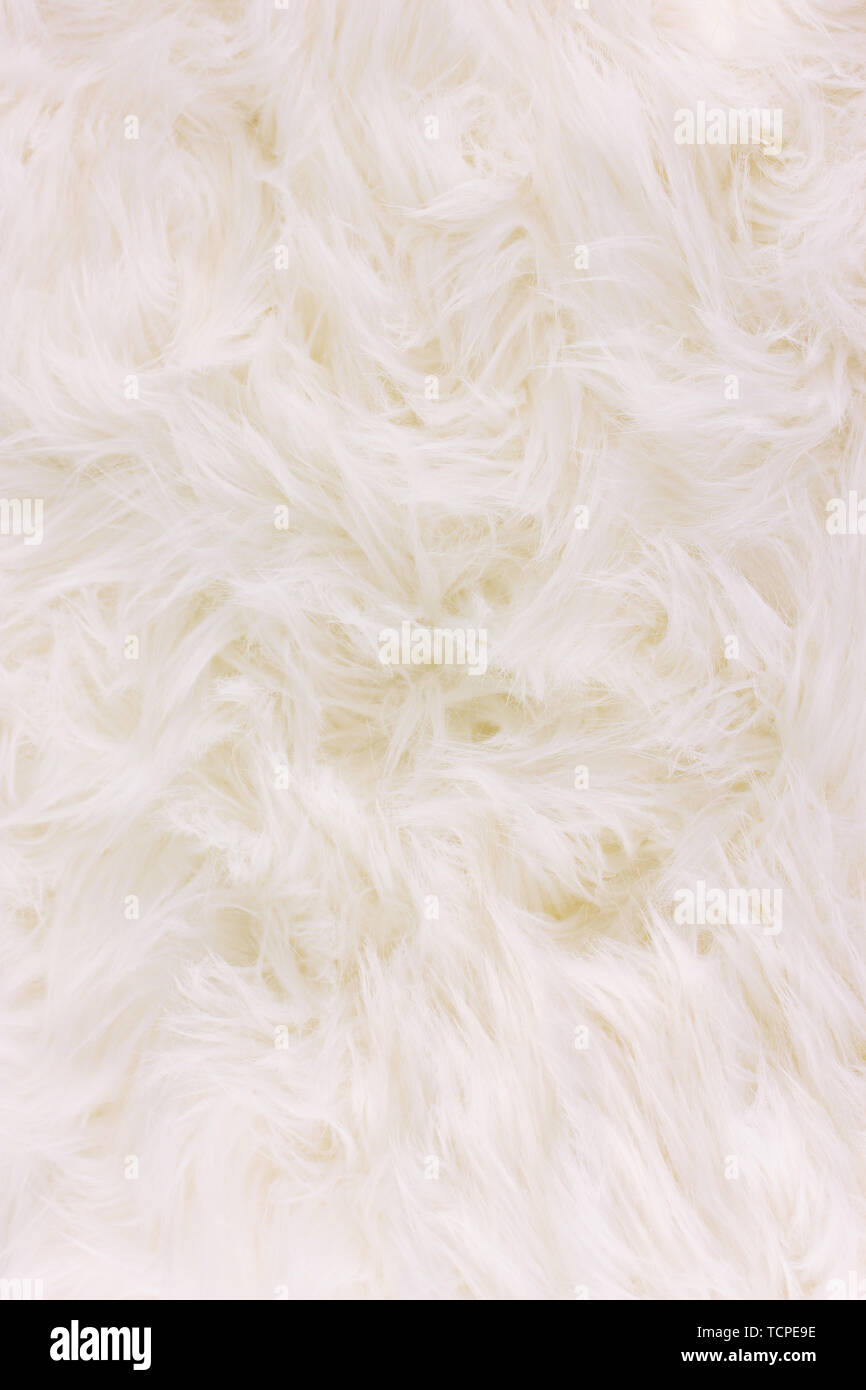 White fur texture, close-up.Useful as background Stock Photo - Alamy