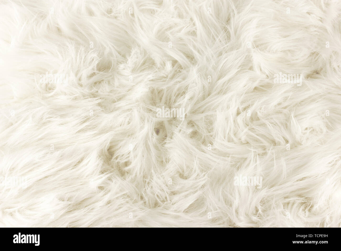 White fur texture, close-up.Useful as background Stock Photo - Alamy