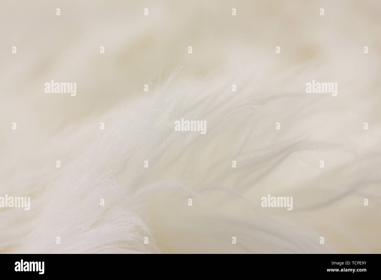 White fur texture, close-up.Useful as background Stock Photo - Alamy