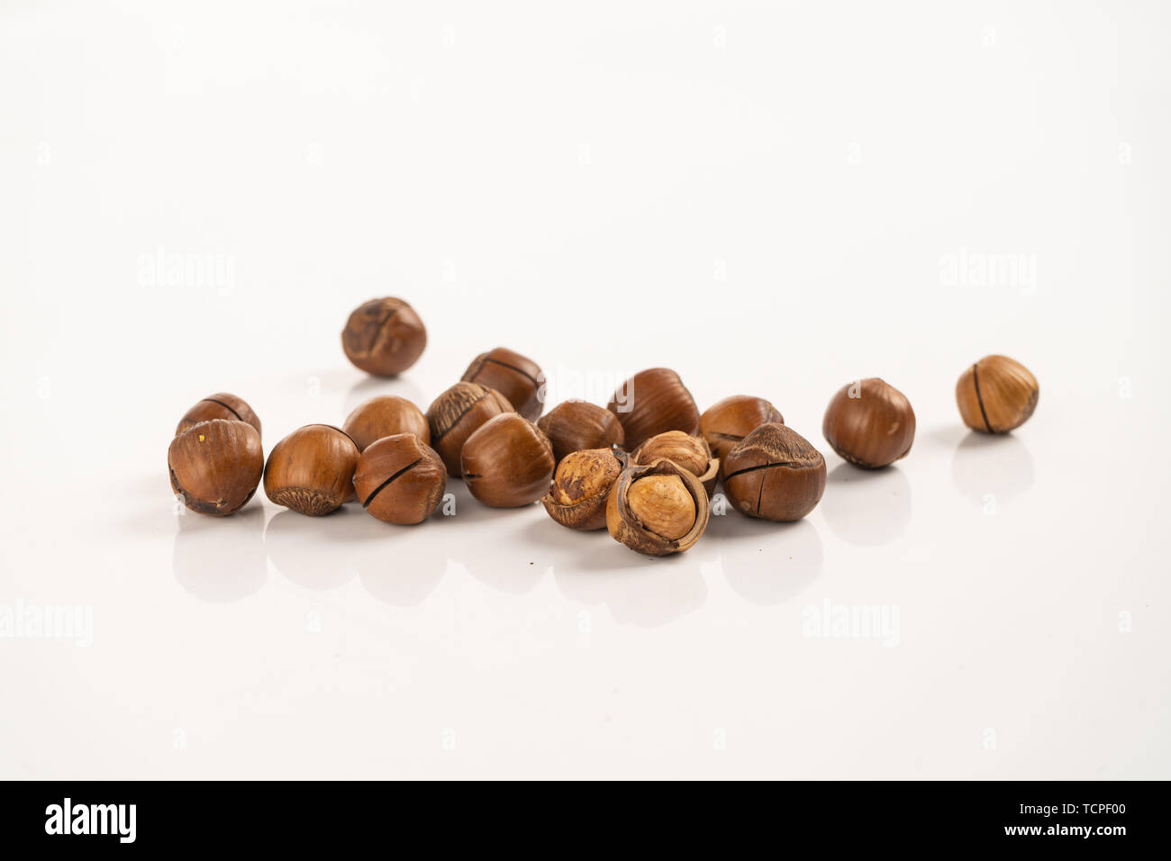 Northeast characteristic open hazelnut Stock Photo - Alamy