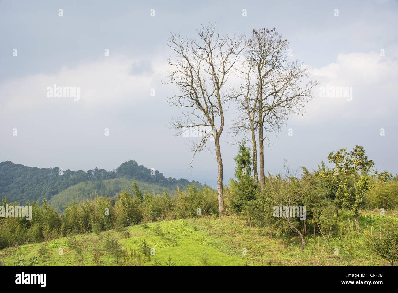 Scenery of Bashu mountains and rivers in Dazhu County, Sichuan Stock ...