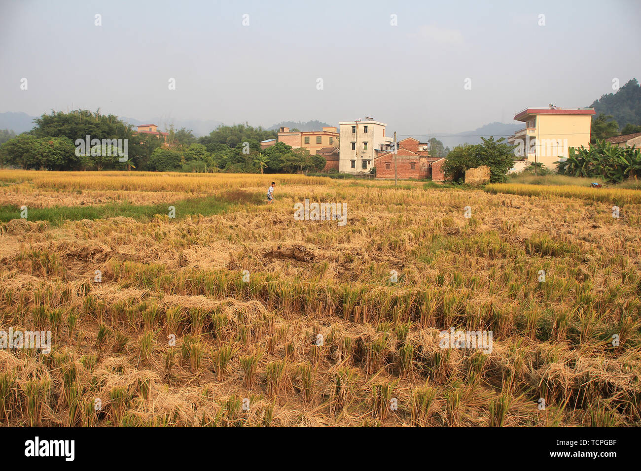 Autumn harvest farmland scenery Stock Photo - Alamy