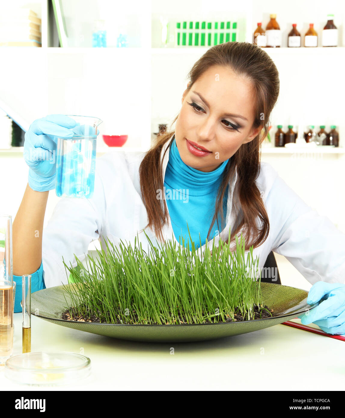 Young female scientist is conducting experiments with plants in ...