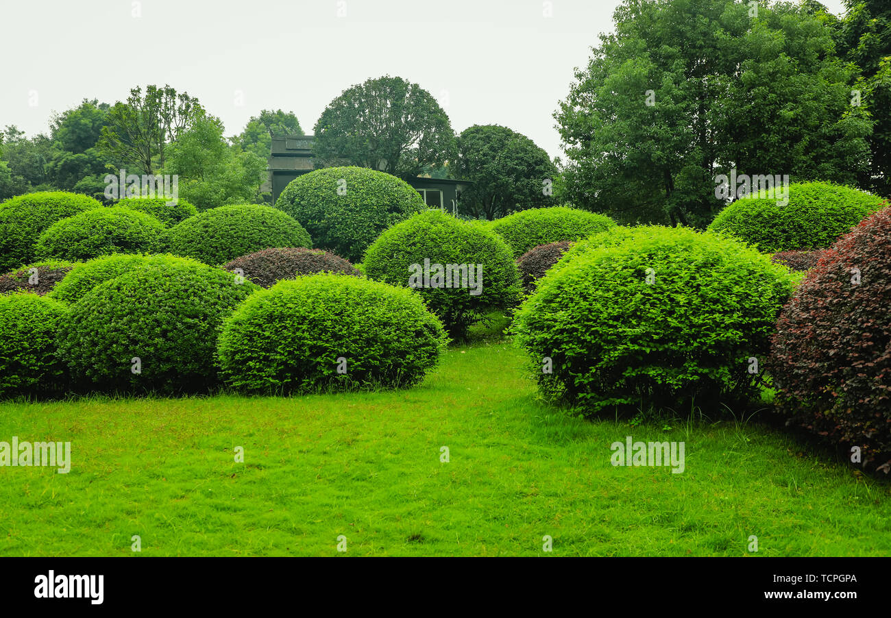 Gardening at Huayan Temple, Chongqing Stock Photo - Alamy