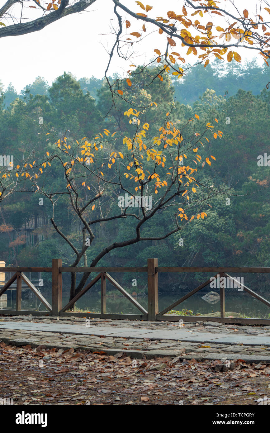 Autumn Park, Tianping Mountain, Suzhou Stock Photo - Alamy