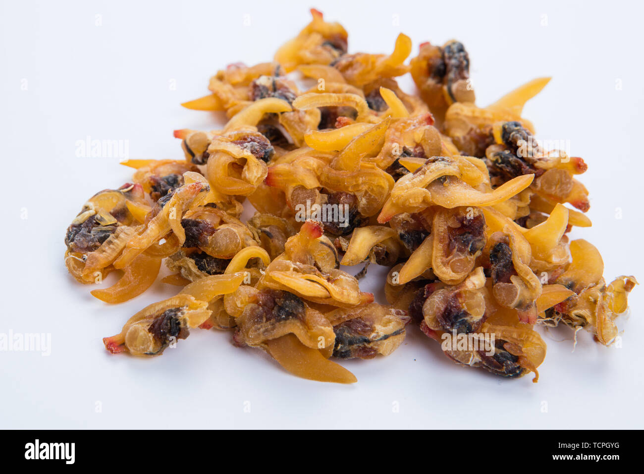 Flower clam meat hi-res stock photography and images - Alamy