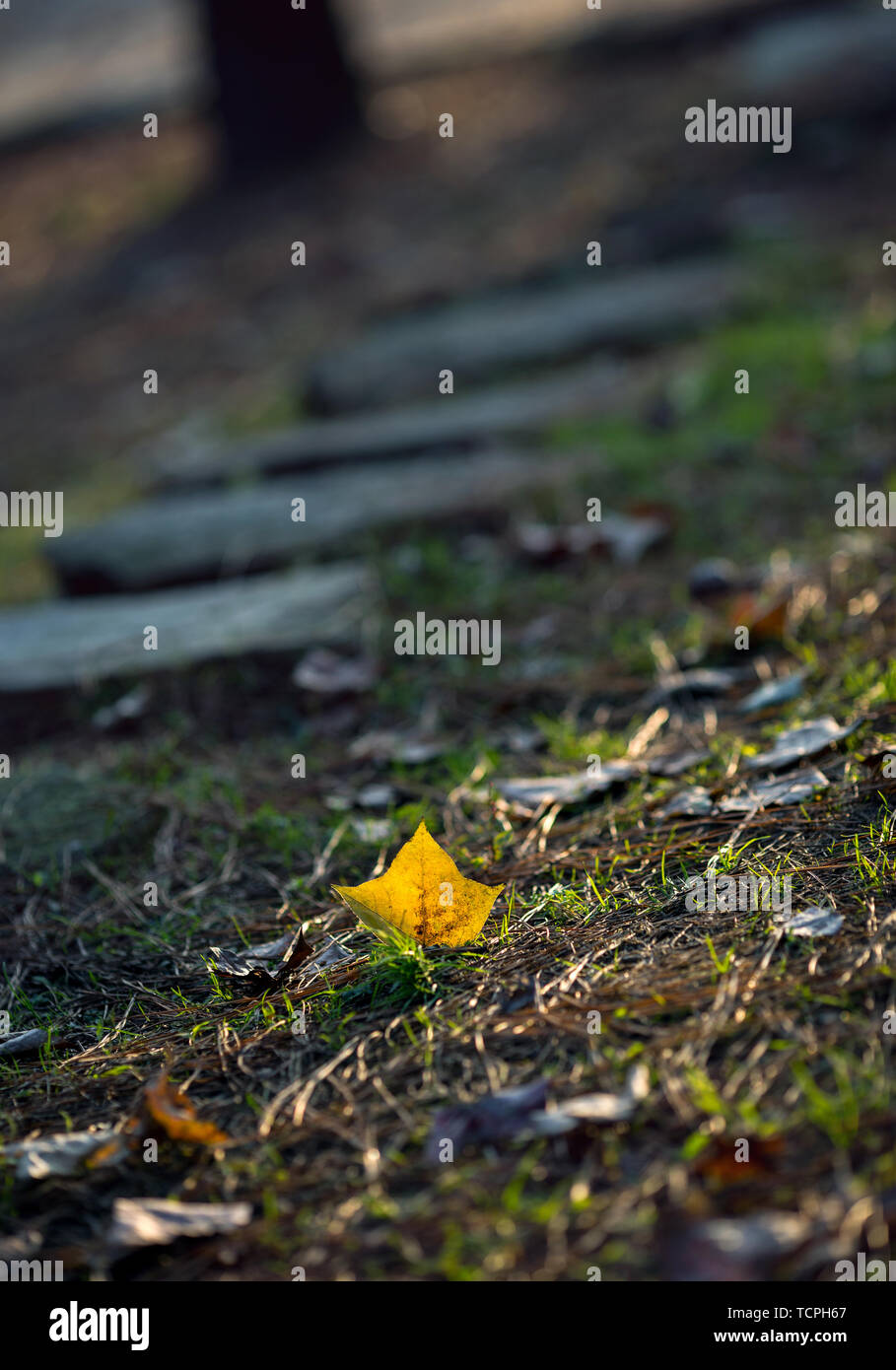 Comfortable weather and grounding hi-res stock photography and images ...