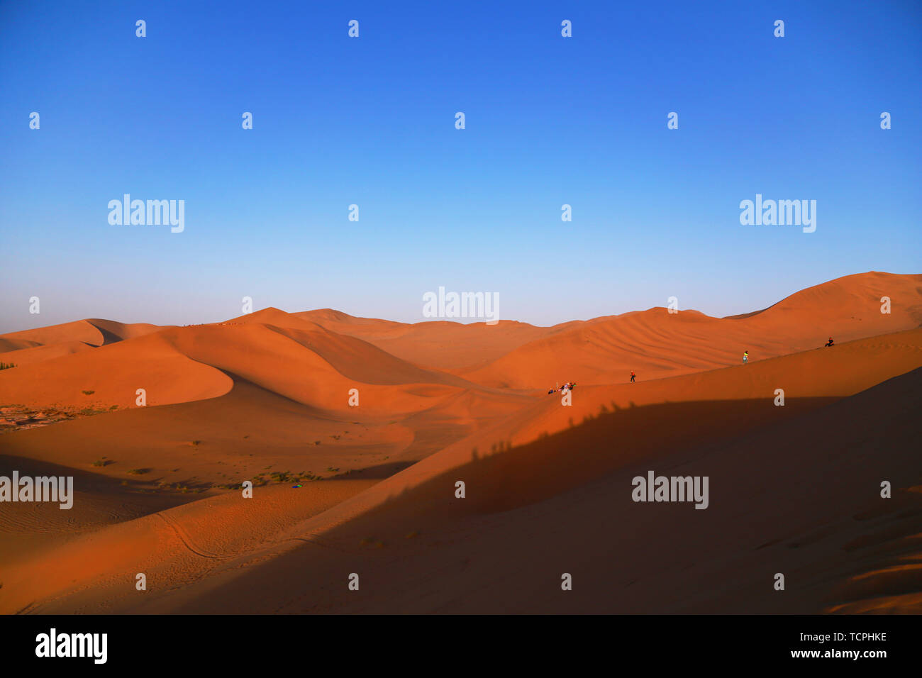 Dawn and desert no one landscapes hi-res stock photography and images ...